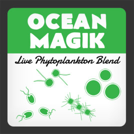 Products | AlgaeBarn | Live Copepods and Phytoplankton